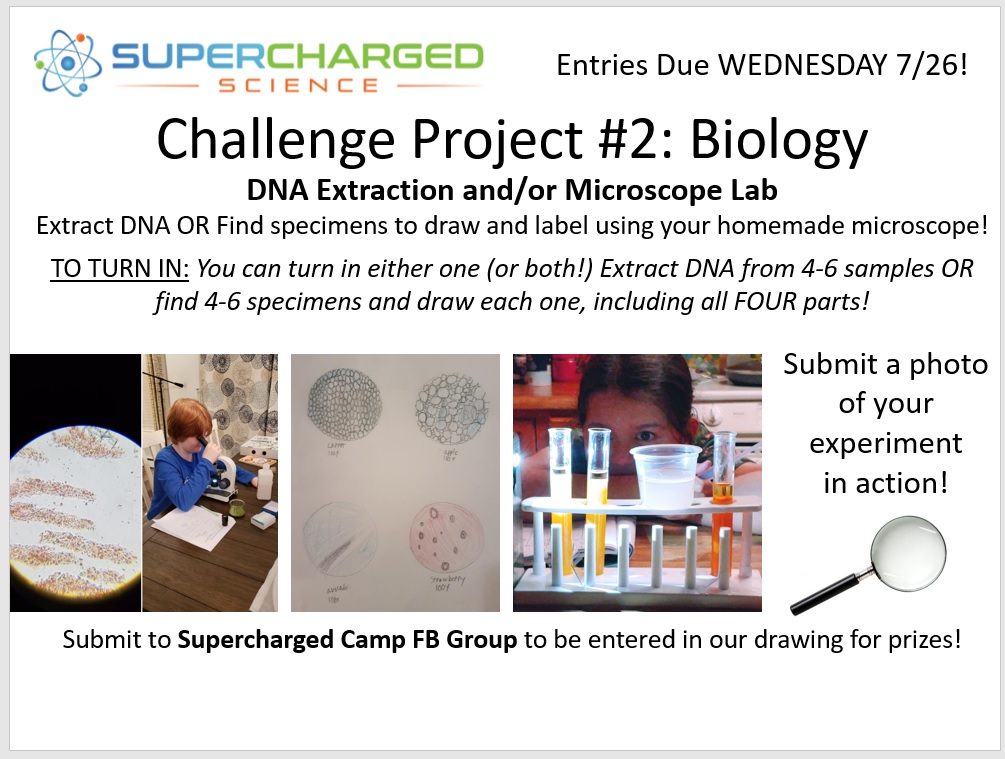 Supercharged Science Week Workbook SSW1 EG – Supercharged Science OPT