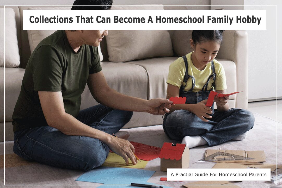 Collections That Can Become A Homeschool Family Hobby – Supercharged ...