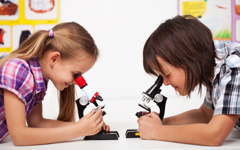 What are the most commonly used instruments and tools by engineers and ...