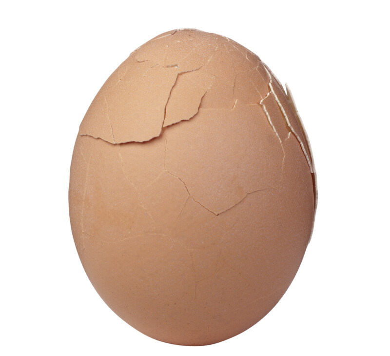 Homeschool Science Curriculum Resources | Supercharged Science